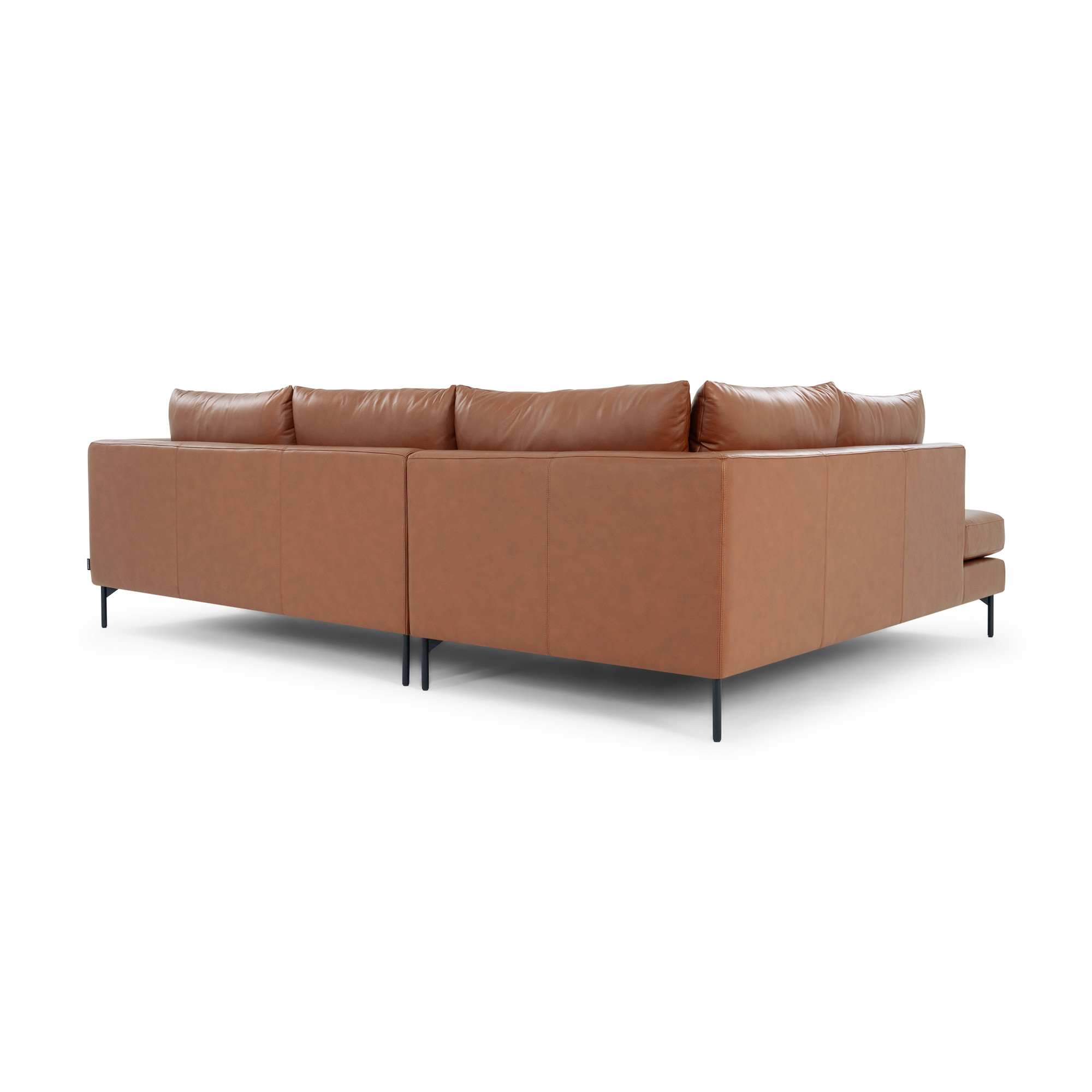 Noa Braun - Soffy Cognac - SOFACOMPANY