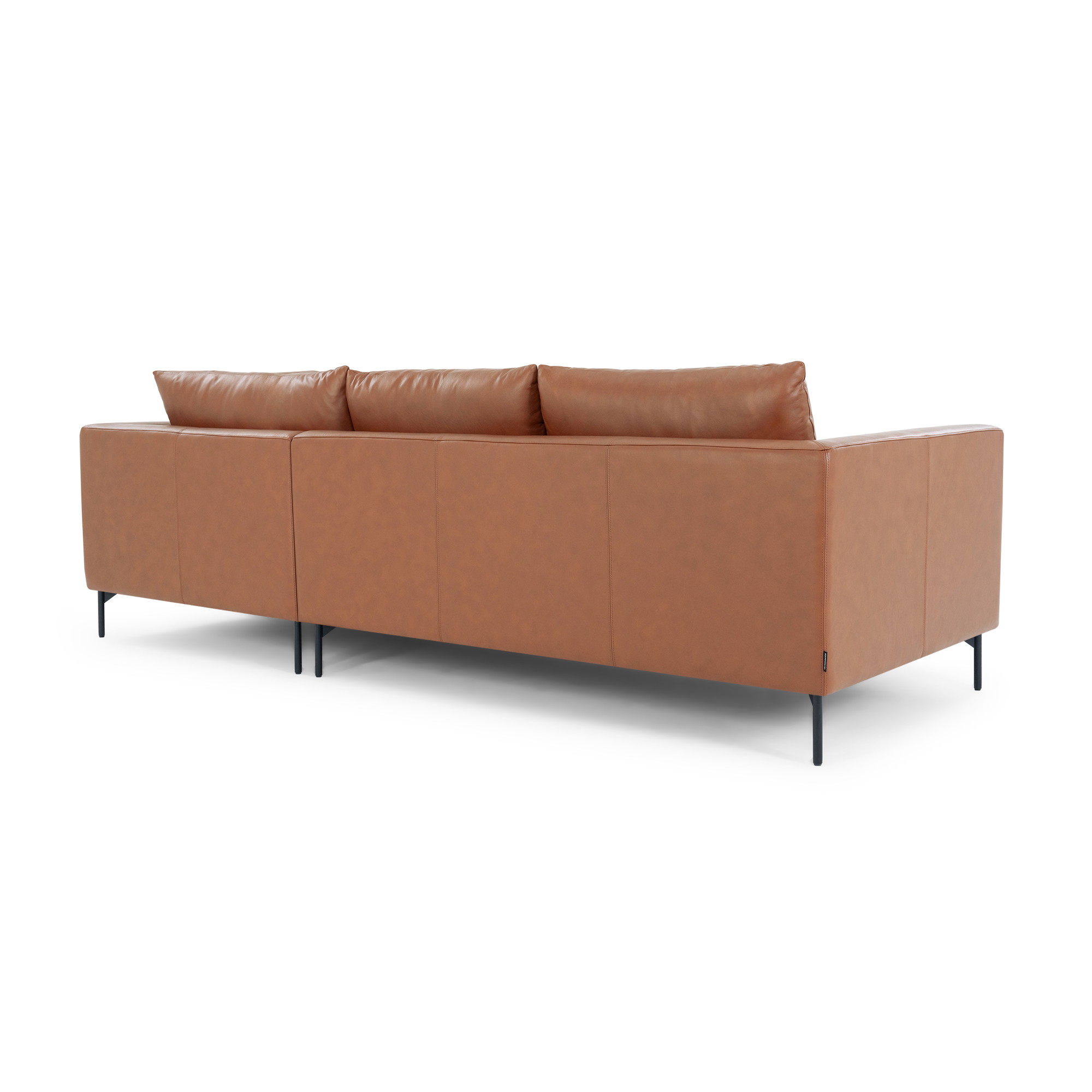 Noa Braun - Soffy Cognac - SOFACOMPANY