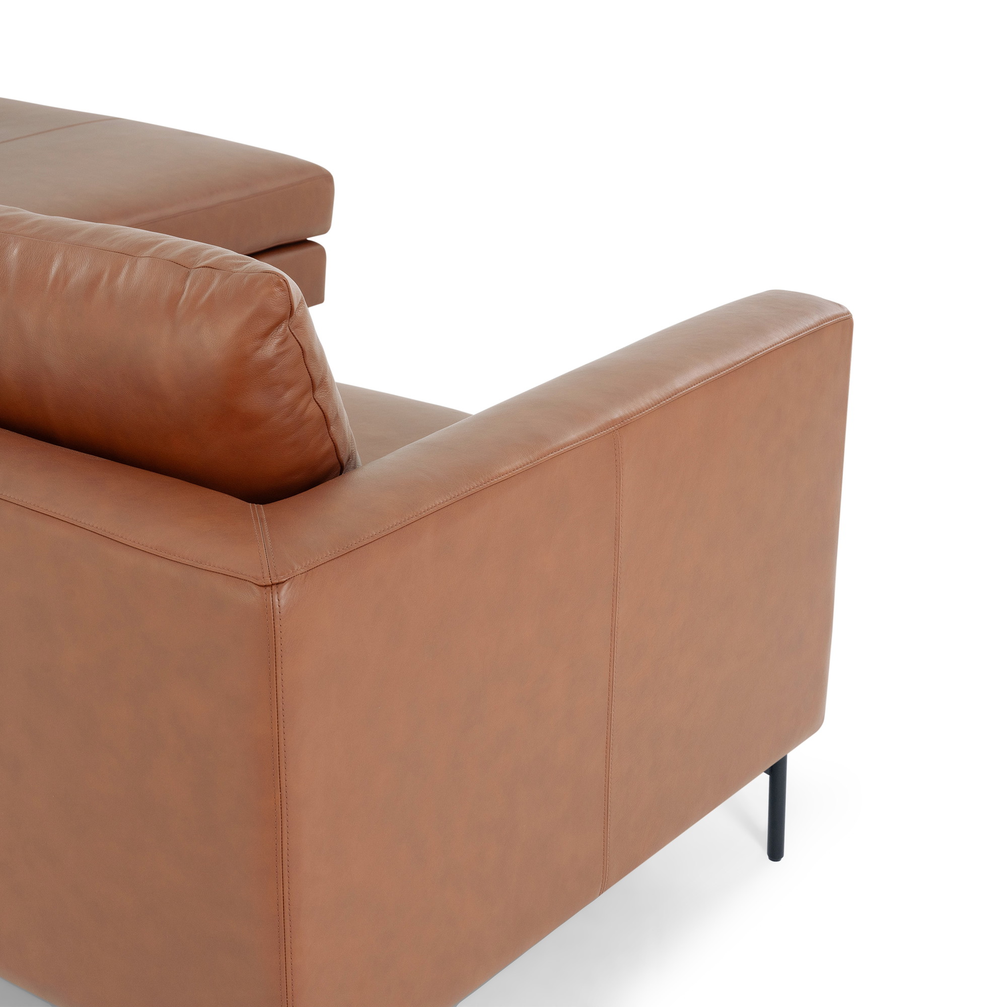 Noa Bruin - Soffy Cognac - SOFACOMPANY